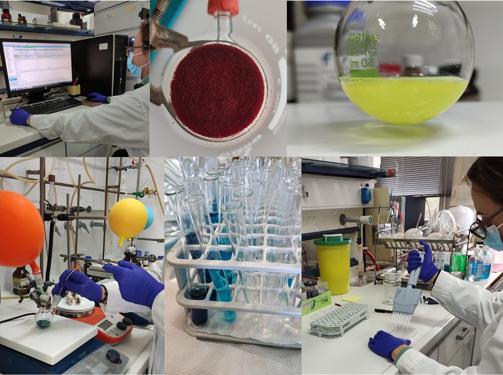 Δ.Π.Μ.Σ. Ιατρική Χημεία και Χημική Βιολογία των Τμημάτων Χημείας και ...