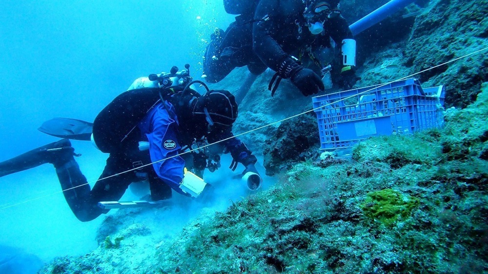 Antikythera wreck 2024: Research completed with important new findings ...